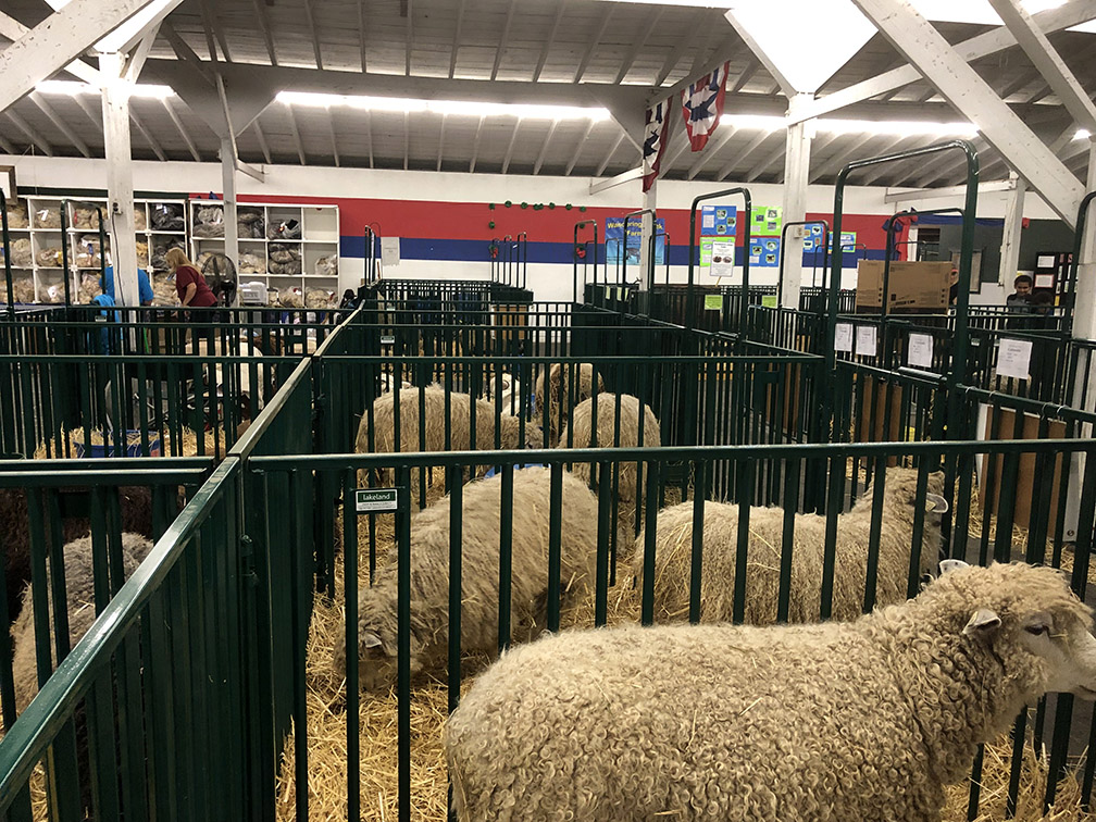 12ft Stall Divider with Upright Spindles - Lakeland Farm And Ranch US