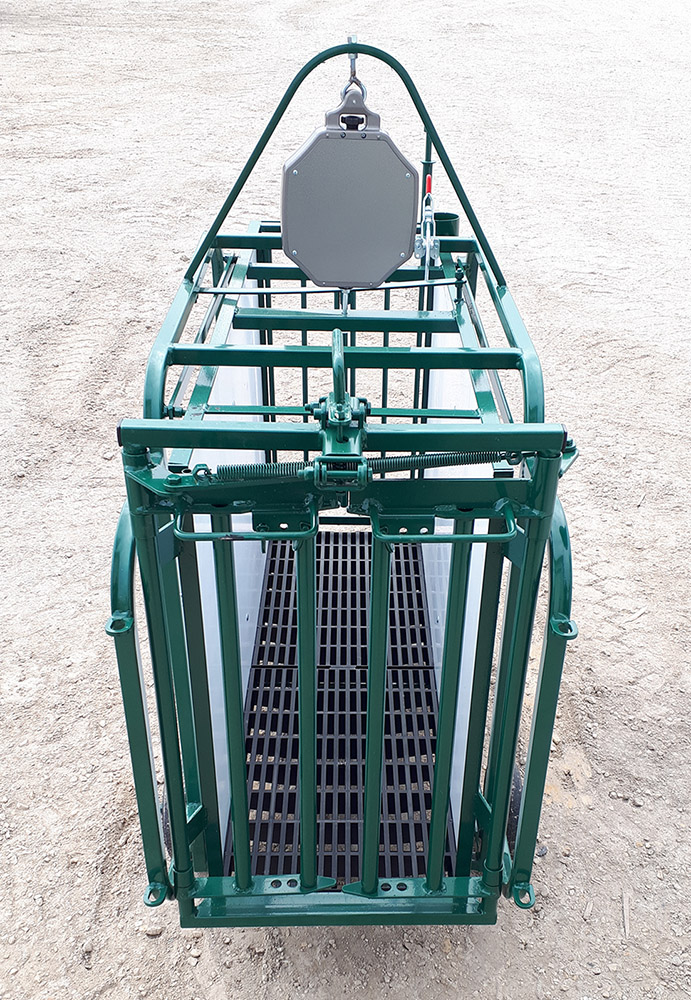 Sheep & Goat Weigh Scale with Self-Catch Headgate - Lakeland Farm And ...